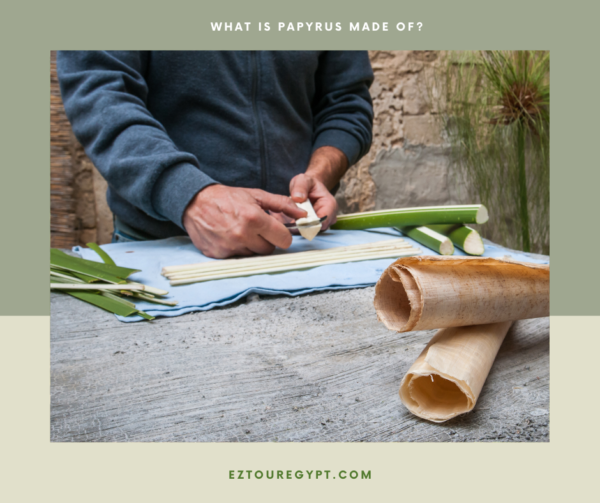 Papyrus Unveiled: From Ancient Scrolls To Living Artistry | EZ TOUR EGYPT