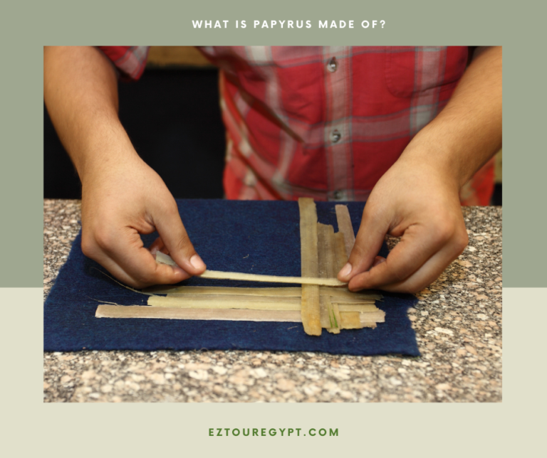 Papyrus Unveiled: From Ancient Scrolls To Living Artistry | EZ TOUR EGYPT