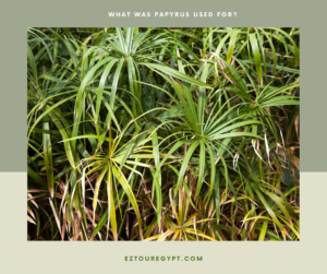 Papyrus Unveiled: From Ancient Scrolls To Living Artistry | EZ TOUR EGYPT